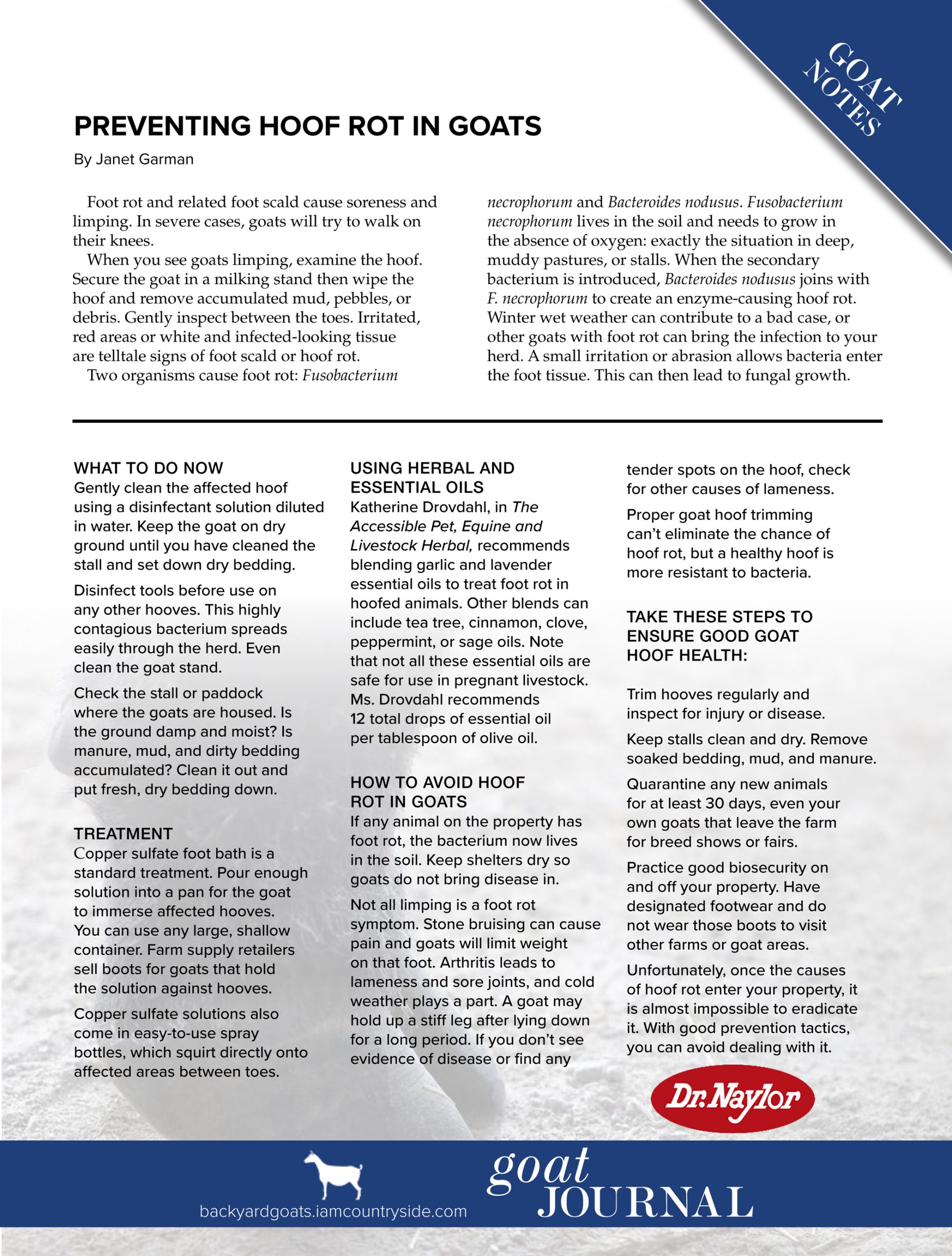 Preventing Hoof Rot in Goats - Goat Journal